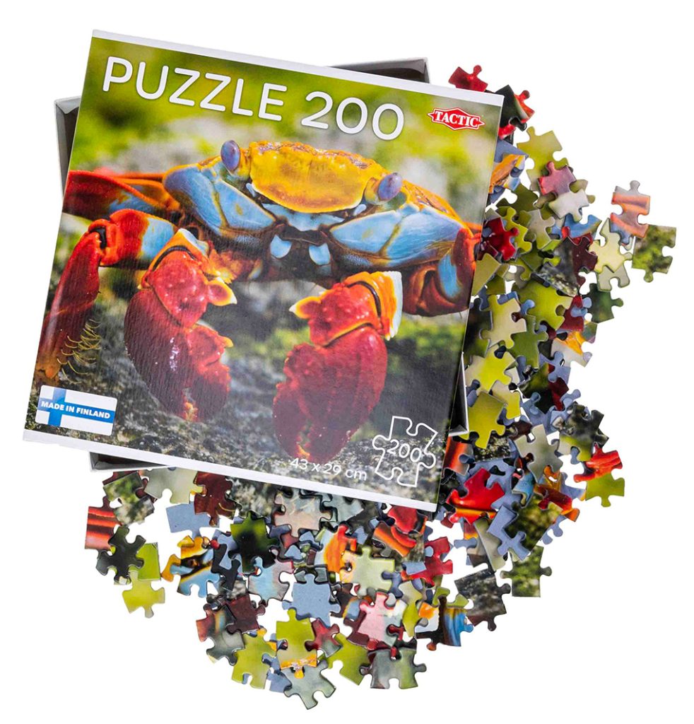 Colourful Crab – Puzzle Lovers